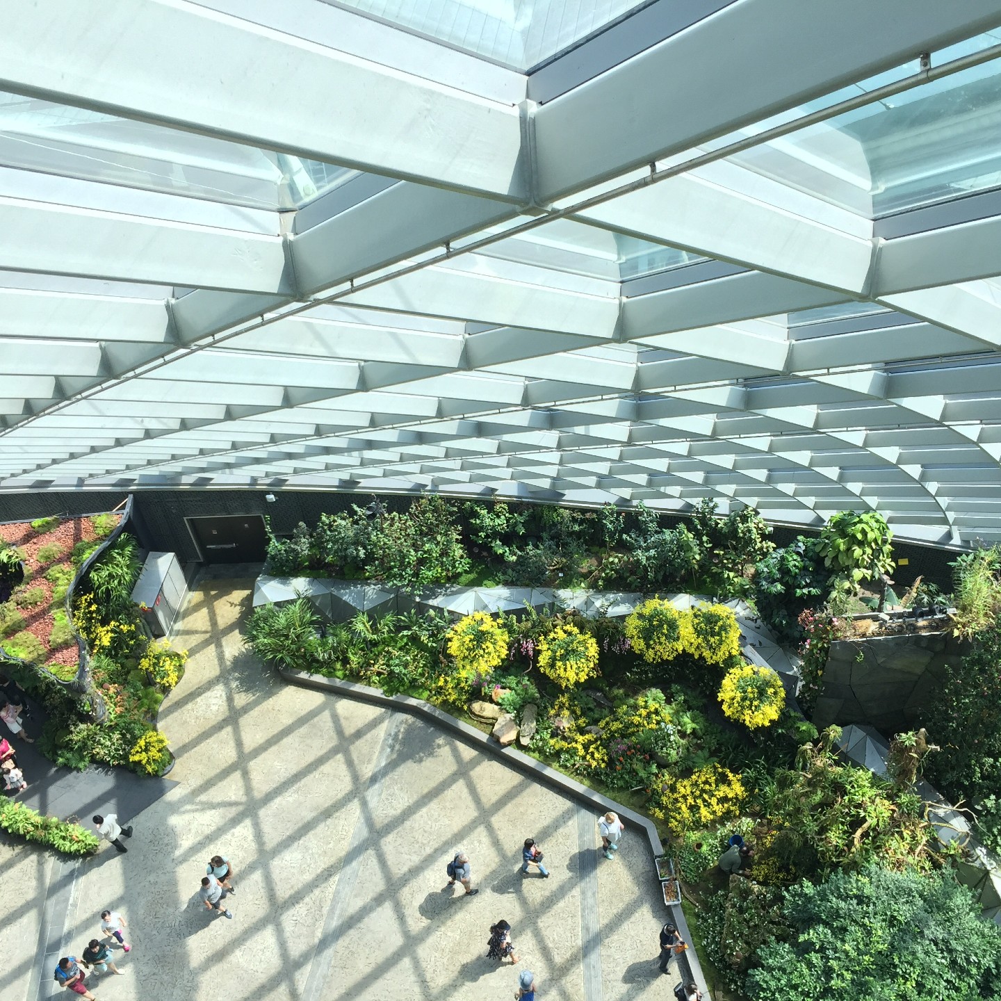 Further Guidance | ACCA Global