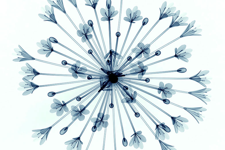 ACCA certificate in business analytics | ACCA